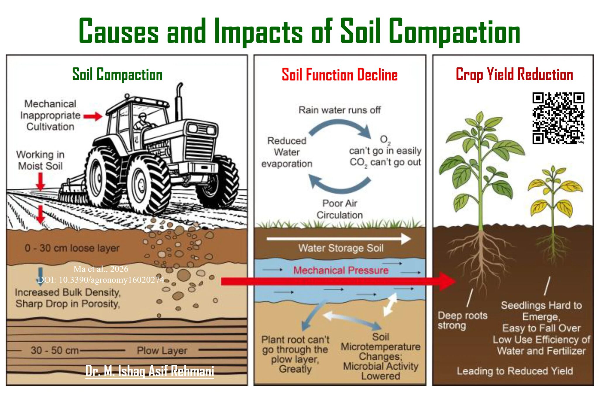 Soil Compaction: Causes, Mechanisms, and Agronomic Consequences